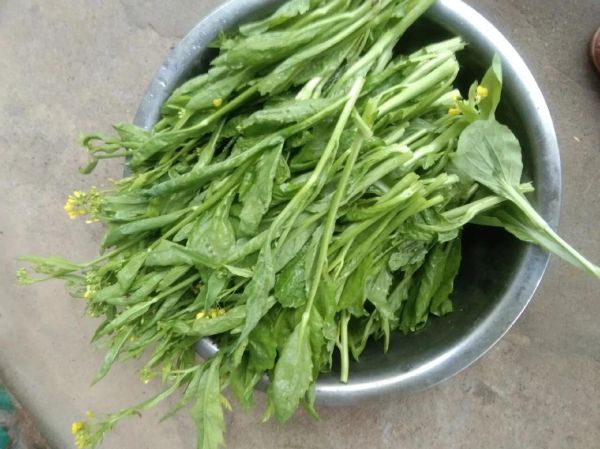 芥菜不焯水可以直接炒吗_芥菜炒前要不要焯水-第3张图片-山城妙识