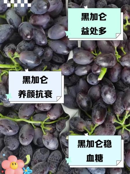 黑加仑的功效和作用是什么_黑加仑能提高免疫力吗-第2张图片-山城妙识 黑加仑的功效和作用是什么_黑加仑能提高免疫力吗-第2张图片-山城妙识