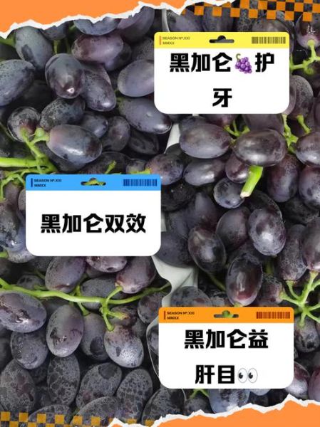 黑加仑的功效和作用是什么_黑加仑能提高免疫力吗-第1张图片-山城妙识 黑加仑的功效和作用是什么_黑加仑能提高免疫力吗-第1张图片-山城妙识