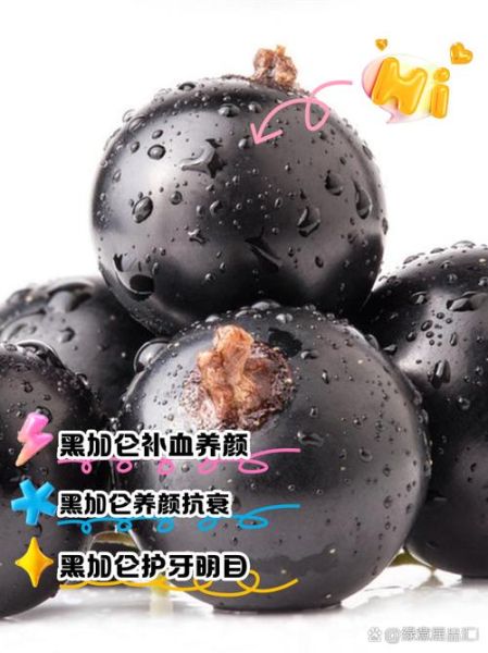 黑加仑的功效和作用是什么_黑加仑能提高免疫力吗-第3张图片-山城妙识 黑加仑的功效和作用是什么_黑加仑能提高免疫力吗-第3张图片-山城妙识