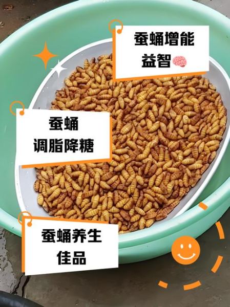 小蚕蛹的功效与作用_小蚕蛹怎么吃最营养-第1张图片-山城妙识 小蚕蛹的功效与作用_小蚕蛹怎么吃最营养-第1张图片-山城妙识