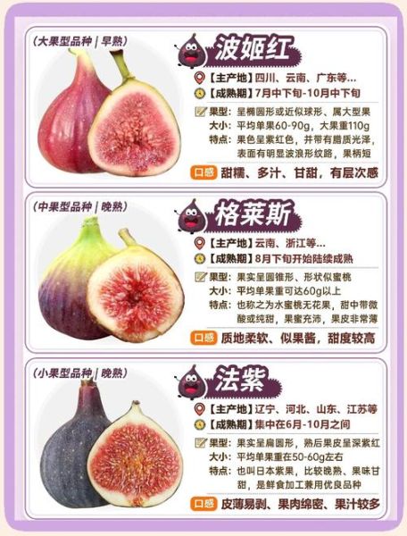 新鲜无花果怎么吃_无花果最佳吃法-第3张图片-山城妙识 新鲜无花果怎么吃_无花果最佳吃法-第3张图片-山城妙识