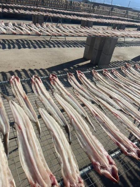 七星鳗鱼多少钱一斤_七星鳗鱼价格行情-第3张图片-山城妙识 七星鳗鱼多少钱一斤_七星鳗鱼价格行情-第3张图片-山城妙识