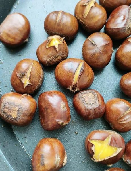 迁西板栗多少钱一斤_迁西板栗哪里买最正宗-第1张图片-山城妙识 迁西板栗多少钱一斤_迁西板栗哪里买最正宗-第1张图片-山城妙识