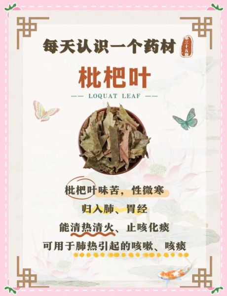 枇杷叶的功效与作用是什么_枇杷叶能治什么病-第1张图片-山城妙识 枇杷叶的功效与作用是什么_枇杷叶能治什么病-第1张图片-山城妙识