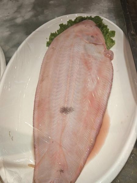 牛舌头鱼多少钱一斤_牛舌头鱼价格走势-第1张图片-山城妙识