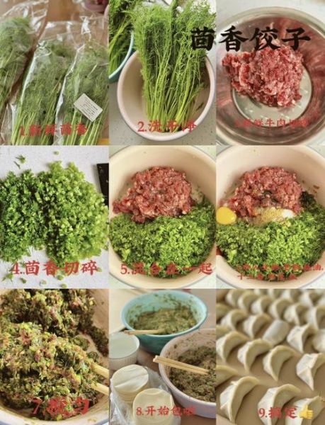茴香饺子馅怎么做_茴香饺子馅做法大全-第1张图片-山城妙识