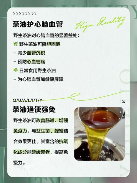 茶油的功效与作用_茶油怎么吃最好-第3张图片-山城妙识 茶油的功效与作用_茶油怎么吃最好-第3张图片-山城妙识