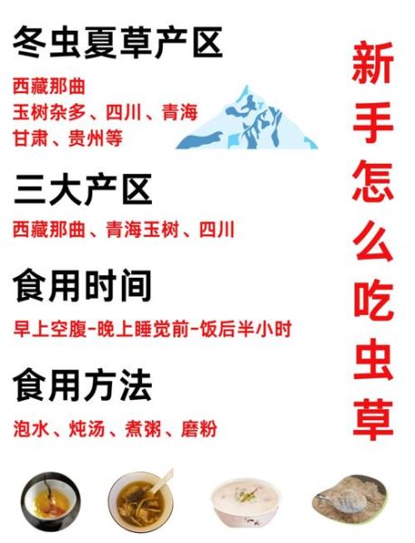 冬虫夏草怎么吃_冬虫夏草的正确吃法-第1张图片-山城妙识