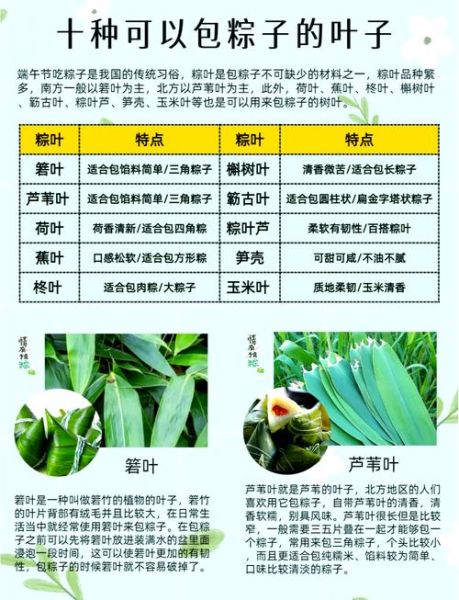 包粽子用什么叶子最好_粽叶怎么选才香-第1张图片-山城妙识