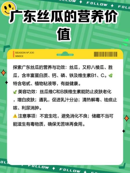 广东丝瓜的功效与作用是什么_广东丝瓜怎么吃最养生-第1张图片-山城妙识