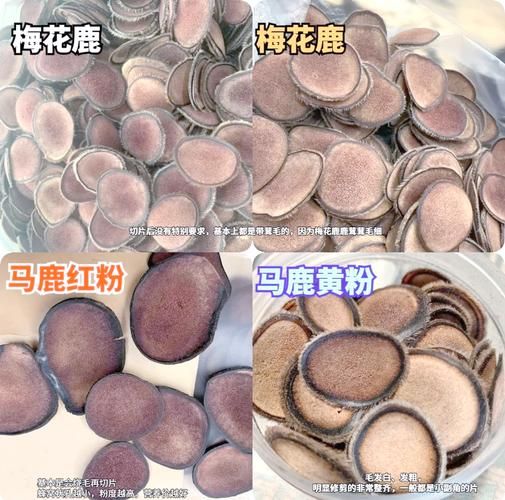 鹿茸片多少钱一克_鹿茸片真假怎么辨别-第1张图片-山城妙识 鹿茸片多少钱一克_鹿茸片真假怎么辨别-第1张图片-山城妙识