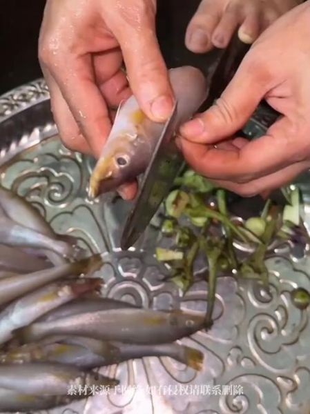 镰刀鱼是什么鱼_镰刀鱼图片长什么样-第3张图片-山城妙识