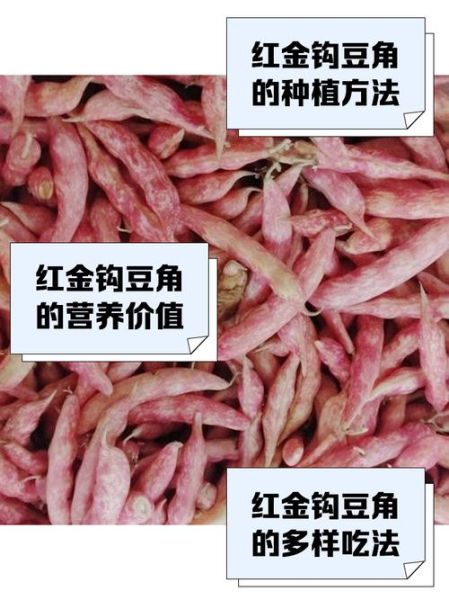 红豇豆的营养价值及功效_红豇豆怎么吃最营养-第2张图片-山城妙识 红豇豆的营养价值及功效_红豇豆怎么吃最营养-第2张图片-山城妙识