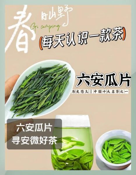 六安瓜片的功效与禁忌_哪些人不能喝-第3张图片-山城妙识 六安瓜片的功效与禁忌_哪些人不能喝-第3张图片-山城妙识