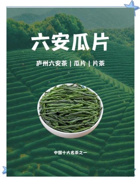 六安瓜片的功效与禁忌_哪些人不能喝-第2张图片-山城妙识 六安瓜片的功效与禁忌_哪些人不能喝-第2张图片-山城妙识