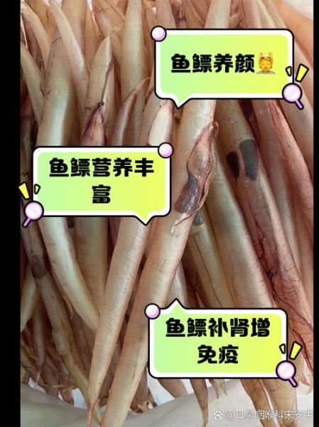 鱼鳔的功效与作用_鱼鳔怎么吃最营养-第2张图片-山城妙识