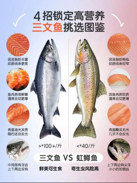 虹鳟鱼多少钱一斤_虹鳟鱼价格为什么差距大-第3张图片-山城妙识