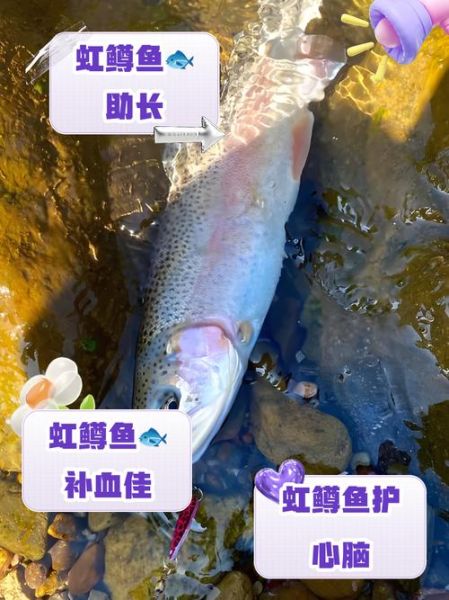 虹鳟鱼多少钱一斤_虹鳟鱼价格为什么差距大-第2张图片-山城妙识