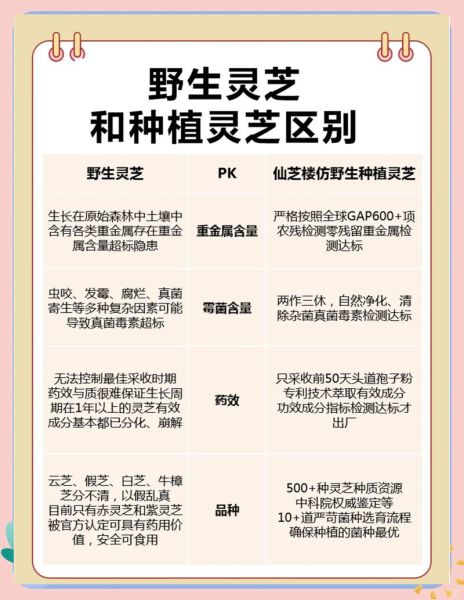 野生灵芝长什么样子_如何辨别真假野生灵芝-第1张图片-山城妙识 野生灵芝长什么样子_如何辨别真假野生灵芝-第1张图片-山城妙识