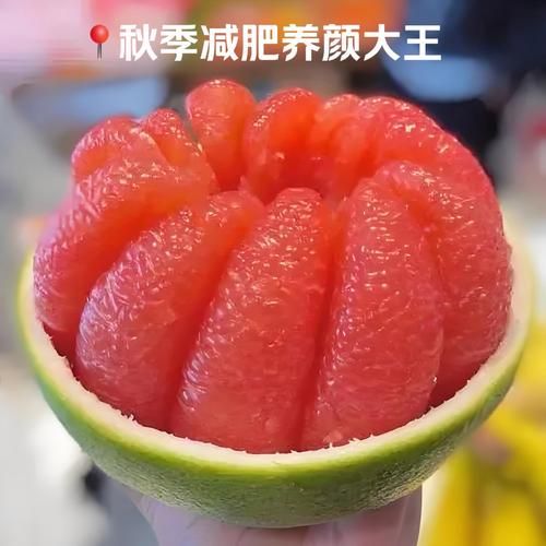 西柚英语怎么样_西柚英语靠谱吗-第1张图片-山城妙识