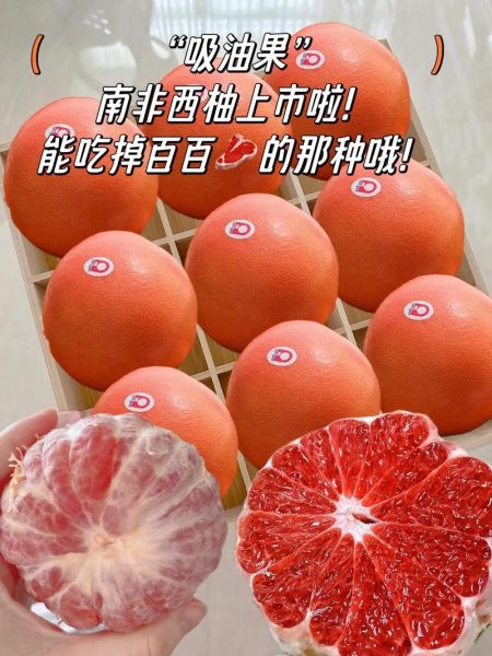 西柚英语怎么样_西柚英语靠谱吗-第2张图片-山城妙识