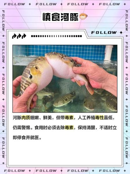 鱼是发物吗_术后能吃鱼吗-第2张图片-山城妙识 鱼是发物吗_术后能吃鱼吗-第2张图片-山城妙识