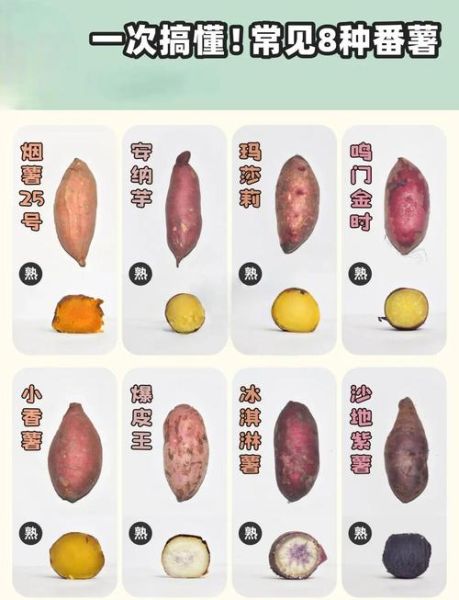 番薯小组改名叫什么了_最新官方名称-第1张图片-山城妙识 番薯小组改名叫什么了_最新官方名称-第1张图片-山城妙识