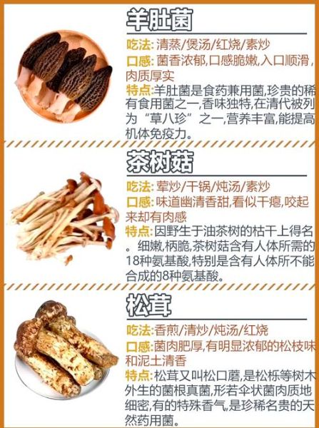 冬菇和香菇哪个贵_价格差异原因-第2张图片-山城妙识 冬菇和香菇哪个贵_价格差异原因-第2张图片-山城妙识