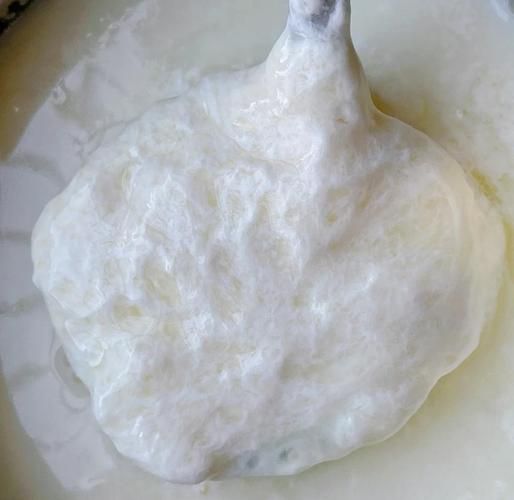 马苏里拉奶酪不用烤箱怎么做_马苏里拉奶酪平底锅做法-第1张图片-山城妙识