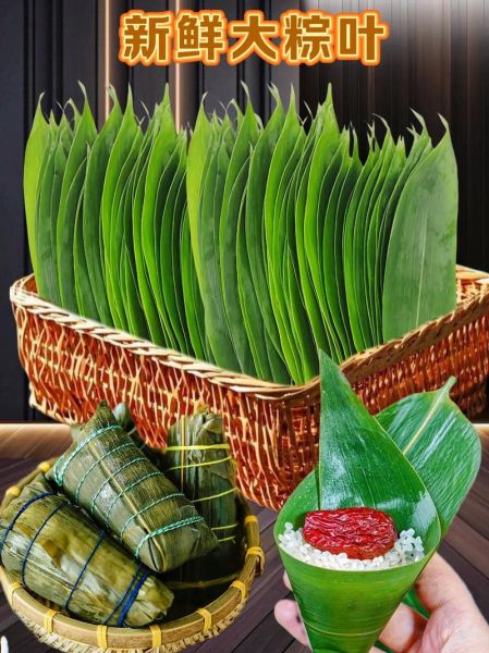 粽叶怎么处理才能包粽子_粽叶要泡多久才软-第1张图片-山城妙识
