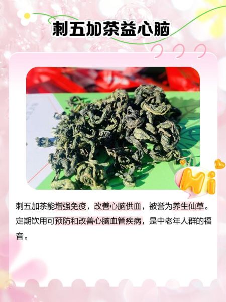 刺五加茶的功效与作用及禁忌_适合什么人喝-第1张图片-山城妙识