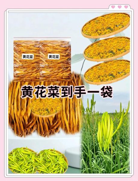 吃干黄花菜的好处和坏处_干黄花菜怎么吃最安全-第3张图片-山城妙识 吃干黄花菜的好处和坏处_干黄花菜怎么吃最安全-第3张图片-山城妙识