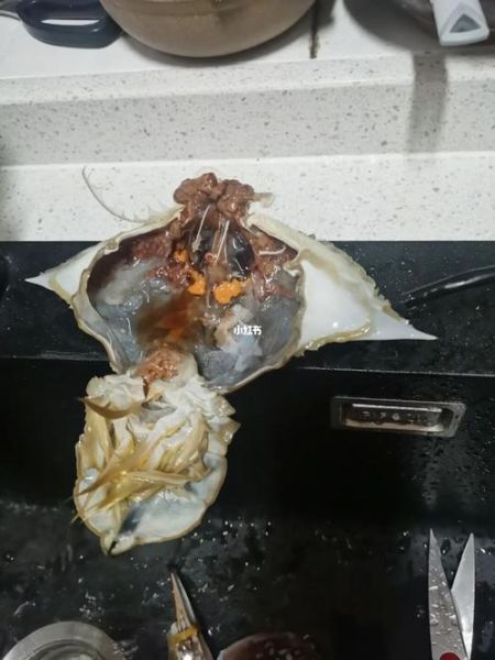 梭子蟹内脏怎么清洗_梭子蟹清洗图解步骤-第2张图片-山城妙识 梭子蟹内脏怎么清洗_梭子蟹清洗图解步骤-第2张图片-山城妙识