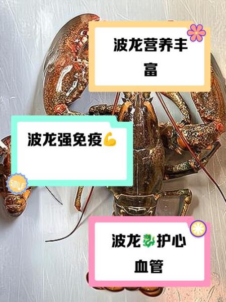 波龙贵还是澳龙贵_价格差异与选购指南-第2张图片-山城妙识 波龙贵还是澳龙贵_价格差异与选购指南-第2张图片-山城妙识