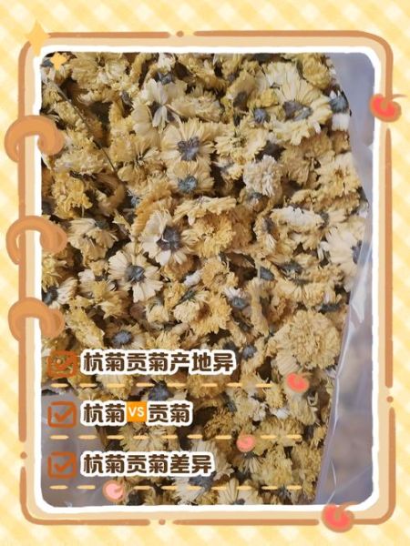 贡菊的功效区别_贡菊和杭菊哪个好-第2张图片-山城妙识