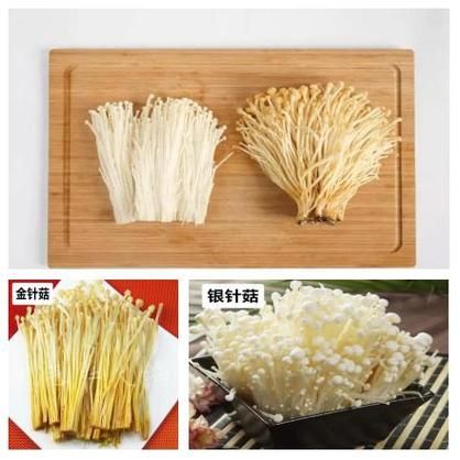 银针菇和金针菇的区别_怎么区分-第2张图片-山城妙识 银针菇和金针菇的区别_怎么区分-第2张图片-山城妙识