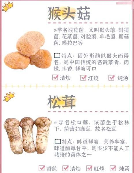 袖珍菇的功效与作用_袖珍菇怎么吃最营养-第3张图片-山城妙识 袖珍菇的功效与作用_袖珍菇怎么吃最营养-第3张图片-山城妙识