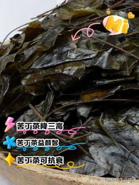 苦丁茶的功效与作用_苦丁茶能治什么病-第1张图片-山城妙识 苦丁茶的功效与作用_苦丁茶能治什么病-第1张图片-山城妙识