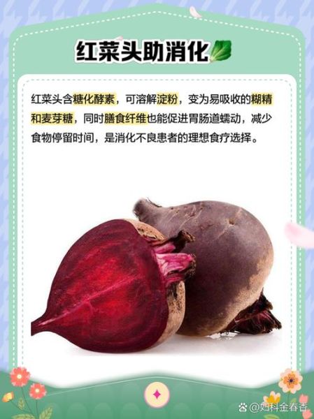 红菜头的功效与作用有哪些_红菜头禁忌人群-第1张图片-山城妙识 红菜头的功效与作用有哪些_红菜头禁忌人群-第1张图片-山城妙识