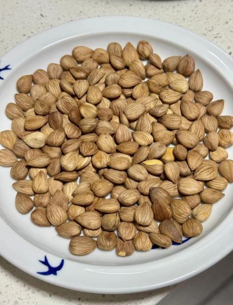 杏仁怎么腌制_腌制杏仁的做法步骤-第1张图片-山城妙识