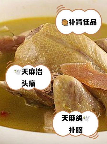 蒸鸽子怎么蒸最补肾_男人吃蒸鸽子放什么药材-第1张图片-山城妙识 蒸鸽子怎么蒸最补肾_男人吃蒸鸽子放什么药材-第1张图片-山城妙识