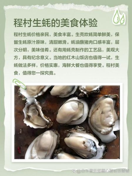 生蚝批发商联系方式_如何找到靠谱供应商-第3张图片-山城妙识