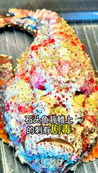 石头鱼是什么鱼_石头鱼毒性有多强-第2张图片-山城妙识 石头鱼是什么鱼_石头鱼毒性有多强-第2张图片-山城妙识