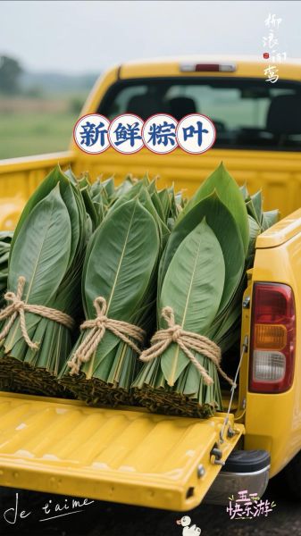 粽子叶多少钱一斤_哪里买新鲜粽叶便宜-第2张图片-山城妙识 粽子叶多少钱一斤_哪里买新鲜粽叶便宜-第2张图片-山城妙识