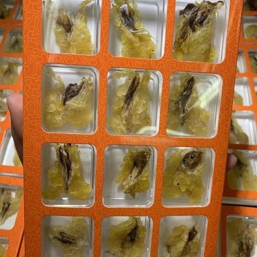 雪蛤干多少钱一斤_雪蛤干价格影响因素-第3张图片-山城妙识 雪蛤干多少钱一斤_雪蛤干价格影响因素-第3张图片-山城妙识