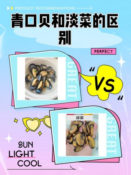 淡菜是什么东西_淡菜和青口贝的区别-第1张图片-山城妙识 淡菜是什么东西_淡菜和青口贝的区别-第1张图片-山城妙识