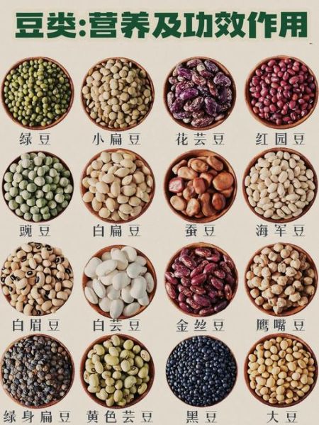 豆类食品有哪些营养价值_吃豆类食品的好处-第2张图片-山城妙识 豆类食品有哪些营养价值_吃豆类食品的好处-第2张图片-山城妙识