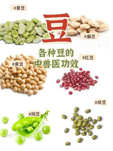 豆类食品有哪些营养价值_吃豆类食品的好处-第1张图片-山城妙识 豆类食品有哪些营养价值_吃豆类食品的好处-第1张图片-山城妙识