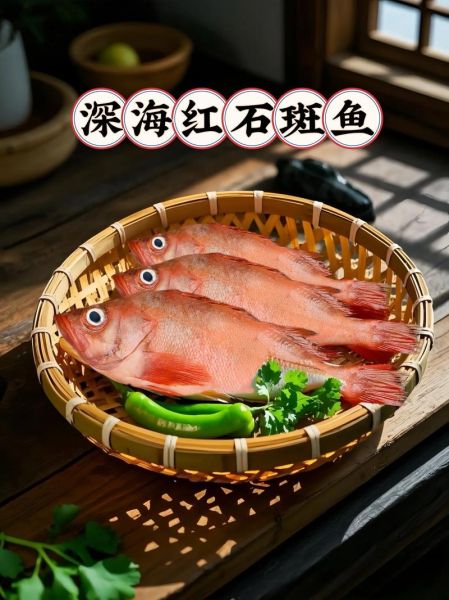 红斑鱼多少钱一斤_红斑鱼怎么做好吃-第1张图片-山城妙识 红斑鱼多少钱一斤_红斑鱼怎么做好吃-第1张图片-山城妙识